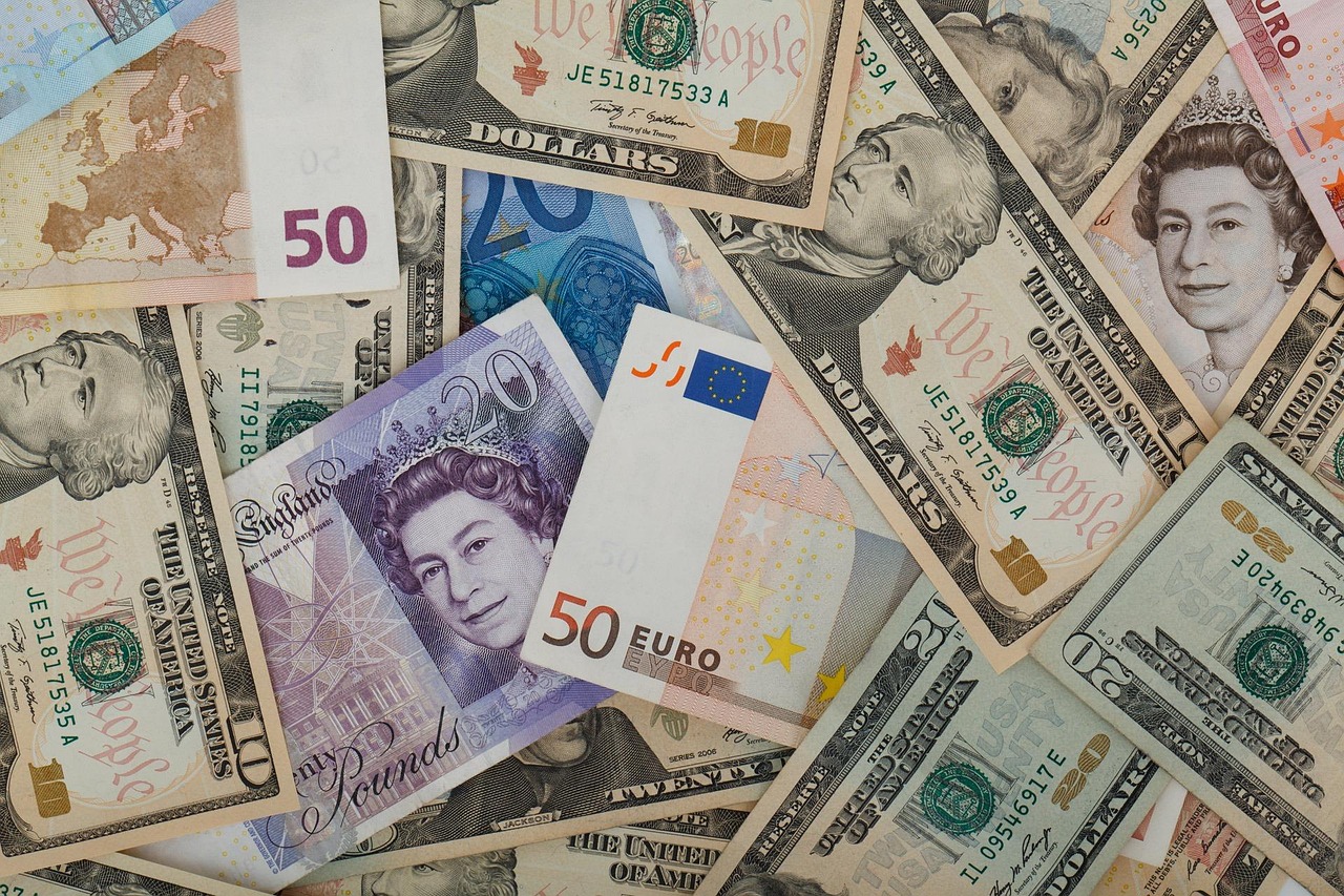 Diferențe între noile serii de bancnote euro și cele vechi - Idelui lui Adi